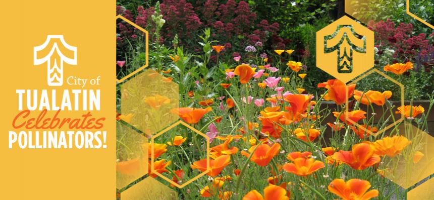 Home Page | The City of Tualatin Oregon Official Website