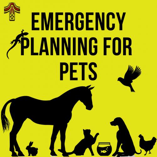 Pet Preparedness | The City of Tualatin Oregon Official Website