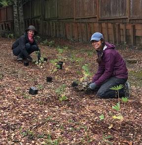 Bee City USA City of Tualatin | The City of Tualatin Oregon Official ...